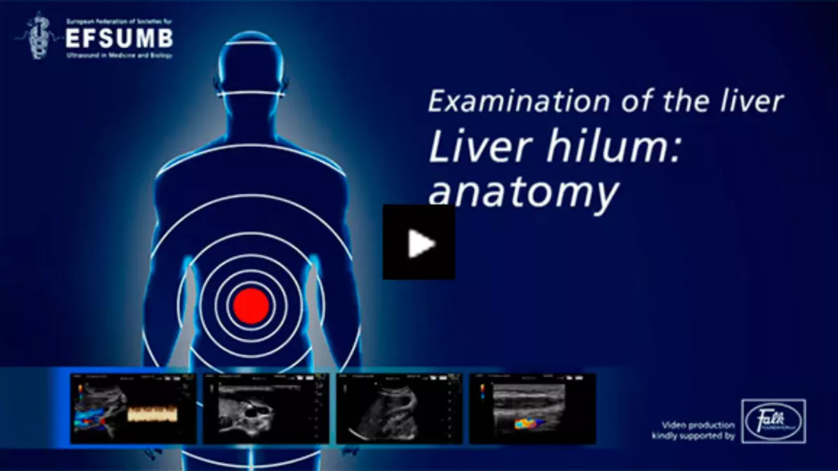 Examination of the liver – Liver hilum: anatomy | Academia Conciencia